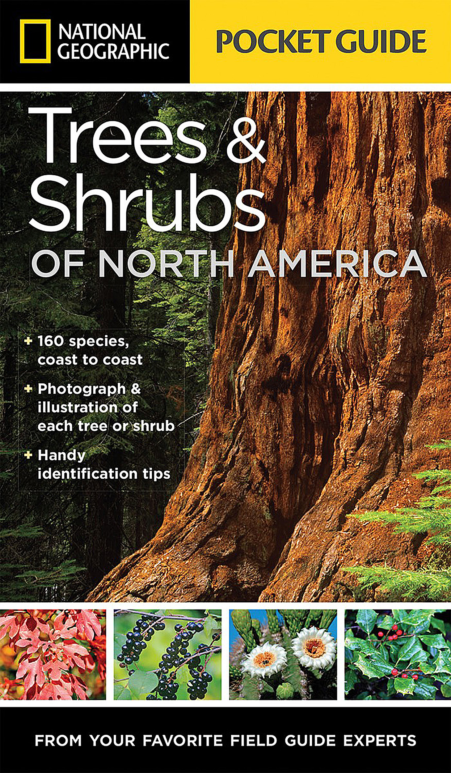 Pocket Guide to Trees and Shrubs of North America